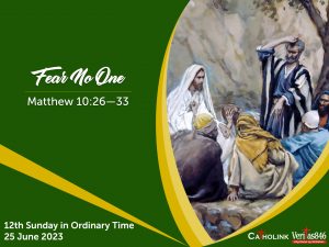 12th Sunday in Ordinary Time - Catholink